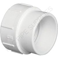6" Cleanout Adapter S x F DWV Fitting, D105-060
